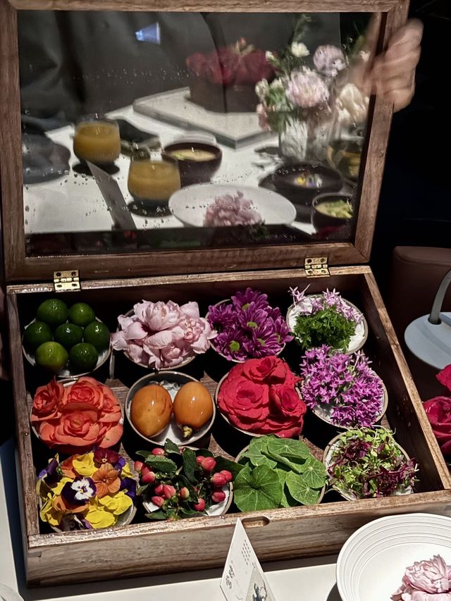 深圳木槿花季節美食味道與顏值在線的餐廳｜Trip.com 深圳
