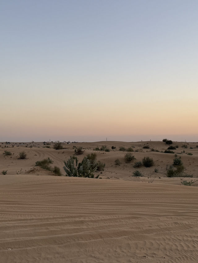 Desert Safari Dreams in Dubai’ | Trip.com Dubai