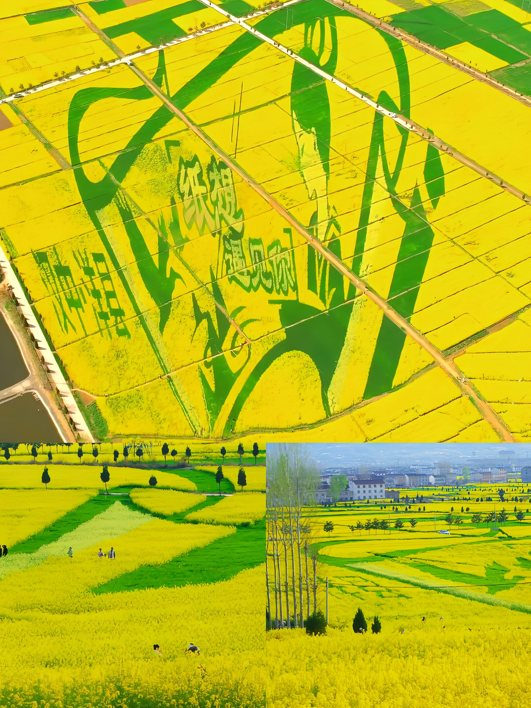 Things to Do in Hanzhong in 2024 - Top Attractions, Local Food, Hotels ...