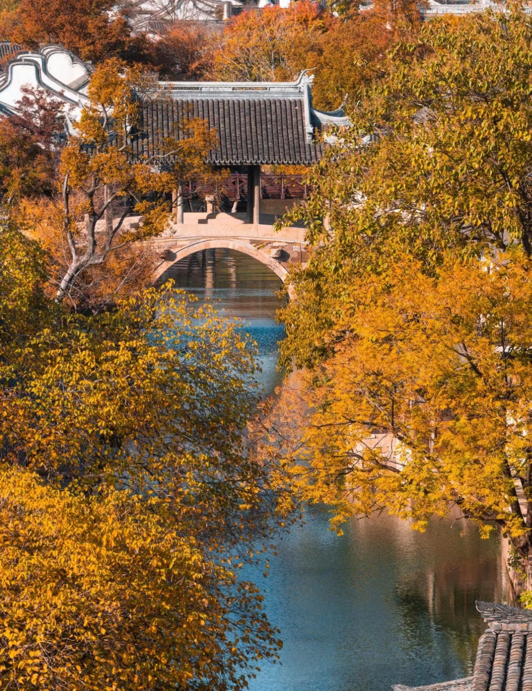 Things to Do in Tongxiang in 2024 - Top Attractions, Local Food, Hotels ...