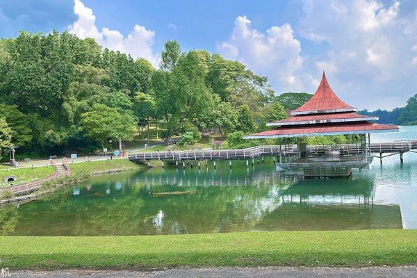 MacRitchie Reservoir Park | Trip.com Singapore
