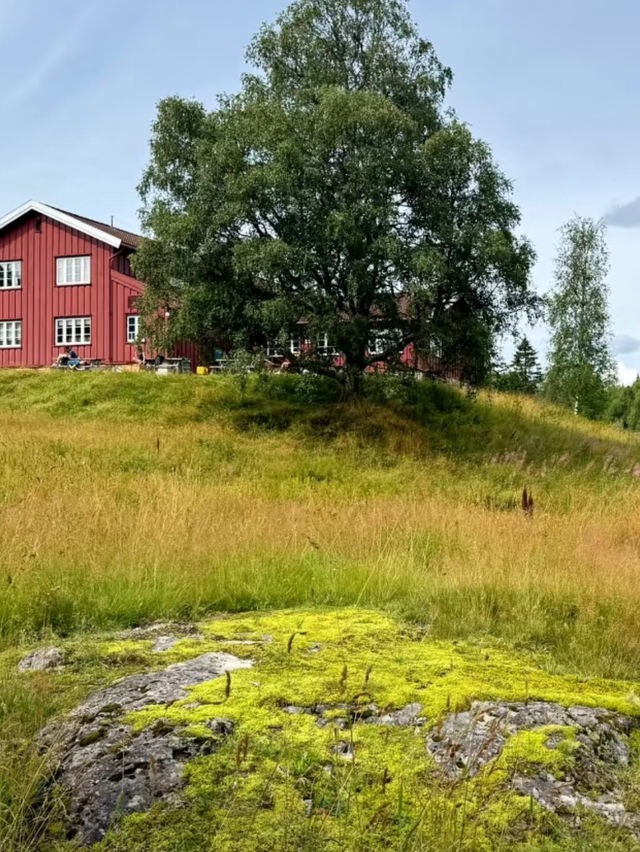 Revolving Around the Beauty of Nature: Eyes – Norway | Trip.com Oslo