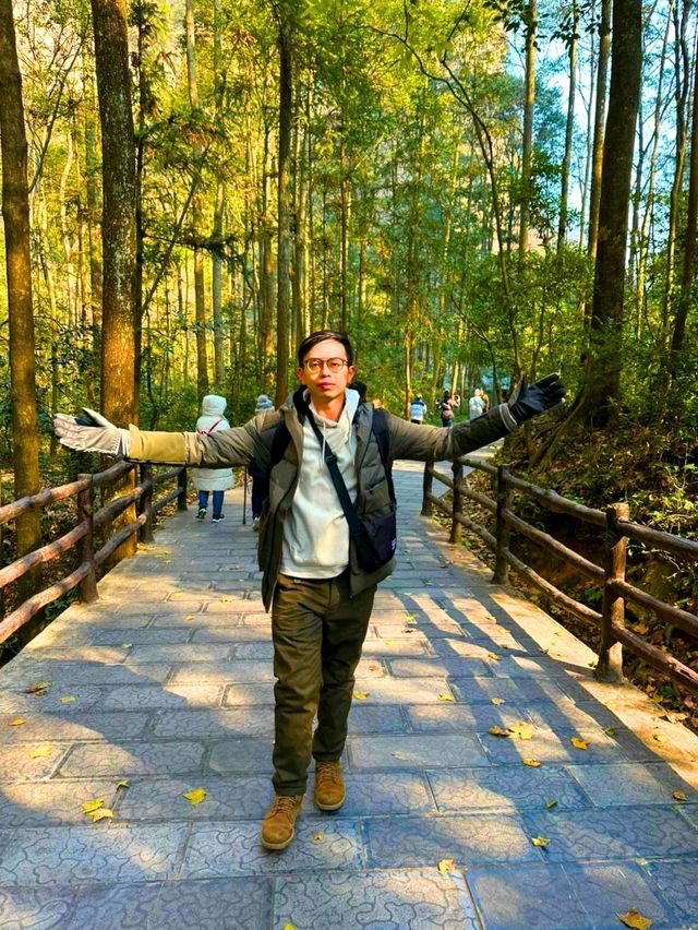 Pillar Peaks Magic🌄 | Trip.com Zhangjiajie