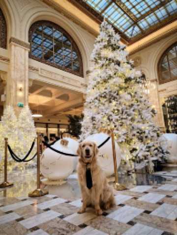 Ready to discover an unforgett | Trip.com Bucharest