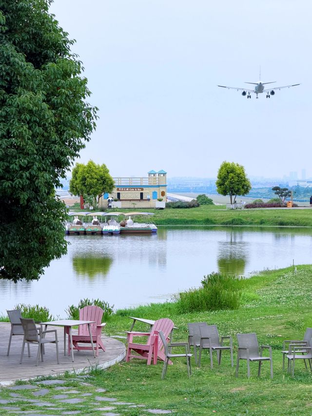 Airport Flower Field Dragon Boat Festival Check-in Guide | Trip.com Chengdu
