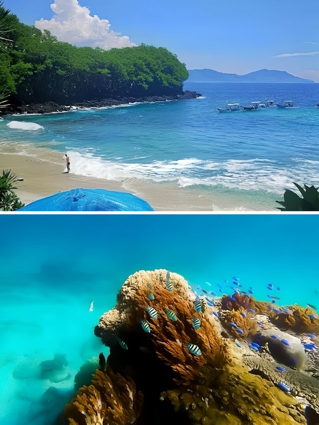 巴厘島最佳潛水、浮潛點～全乾貨整理，建議收藏！。｜Trip.com 峇里島