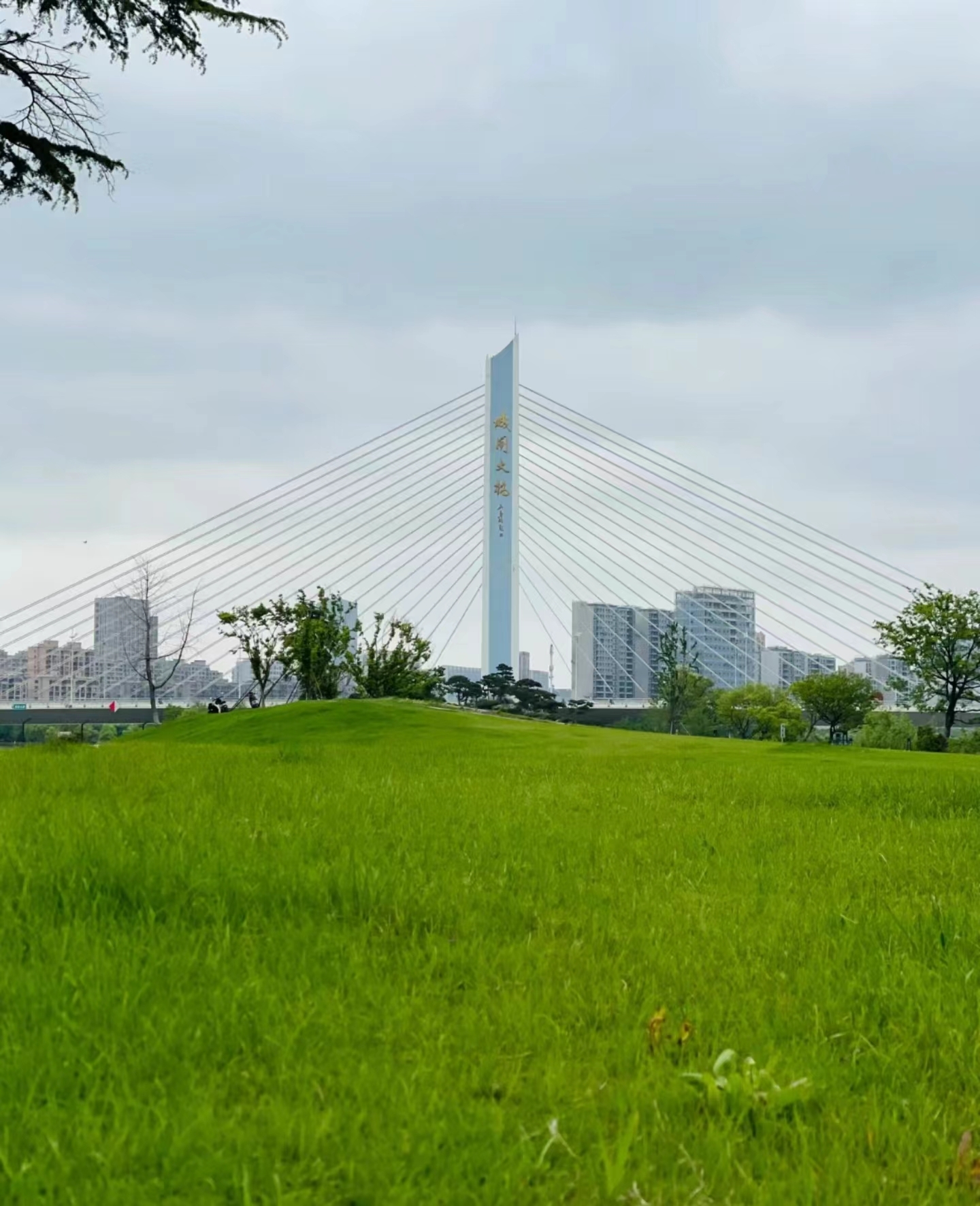 Things to Do in Nantong in 2024 - Top Attractions, Local Food, Hotels ...