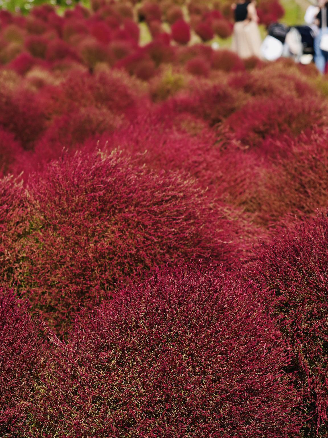 Travel Guide for Places Near 2025: Top Things to Do, Weather ...