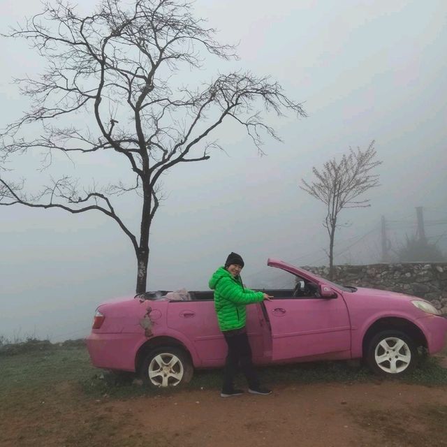 Moana Cafe Sapa เวียดนาม | Trip.com ซาปา