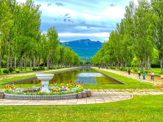 Maeda Forest Park | Trip.com Sapporo