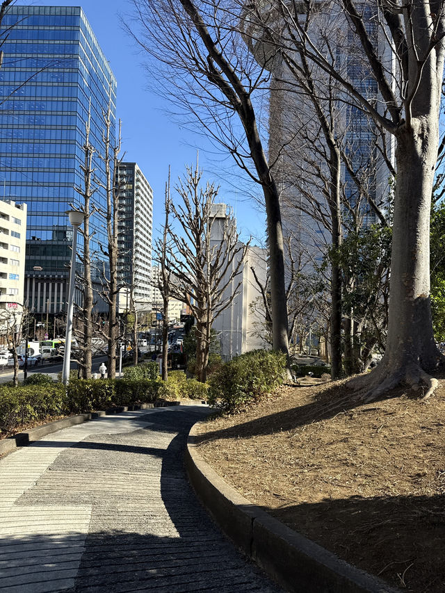 Quiet Reflections by Water at Rekisen Park | Trip.com Tokyo