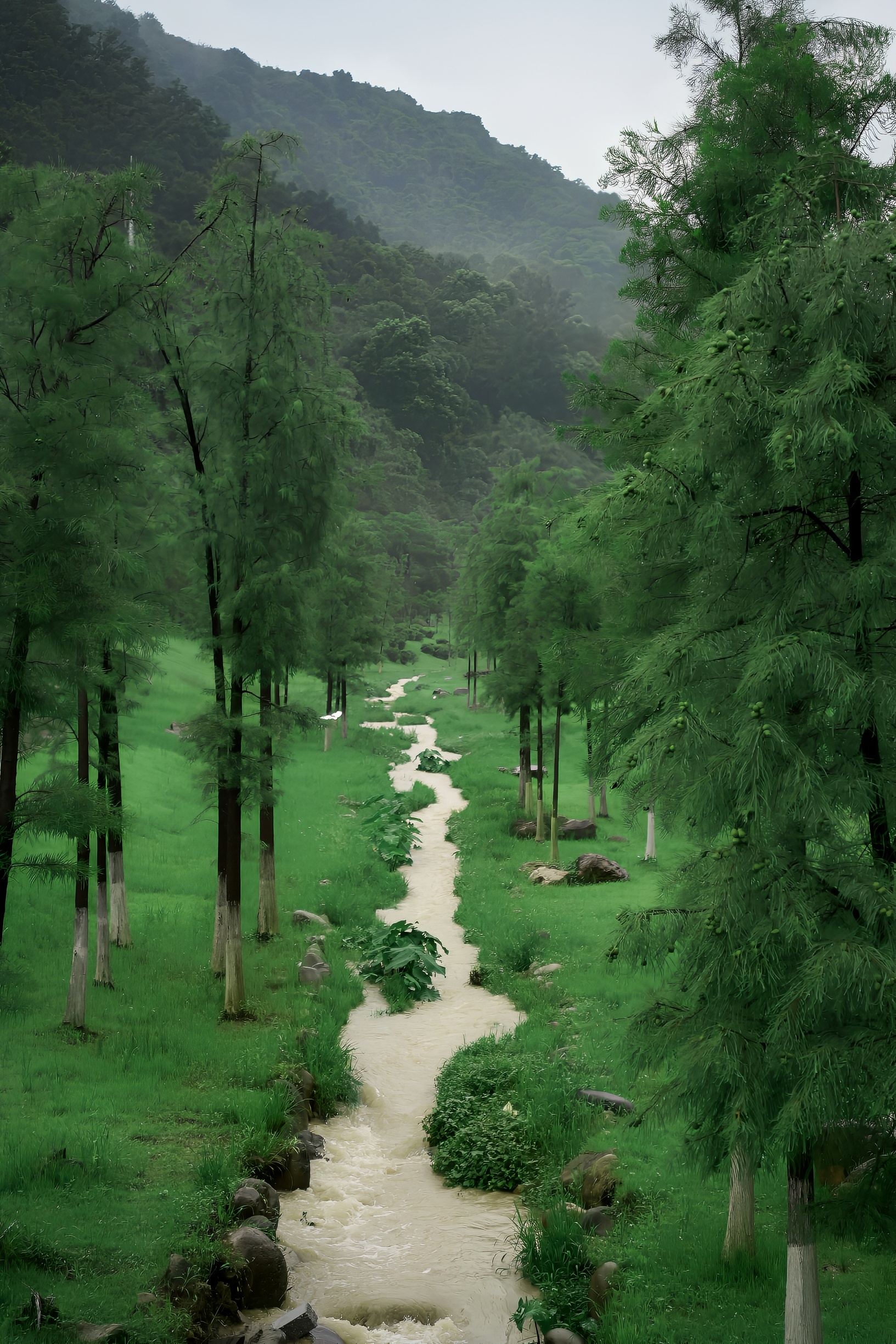 Things to Do in Huangpu District in 2024 - Top Attractions, Local Food ...