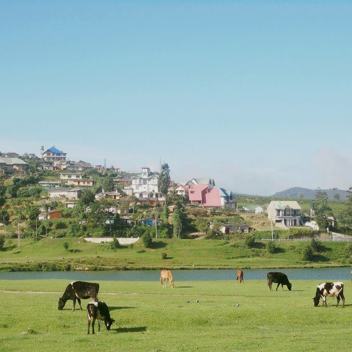 【2024斯里蘭卡旅遊攻略】人氣景點、酒店推介、熱門活動及餐廳 | Trip.com