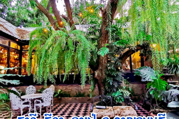 ราวี รีวา คาเฟ่ ( RAVI RIVA CAFE )กาญจนบุรี | Trip.com กาญจนบุรี