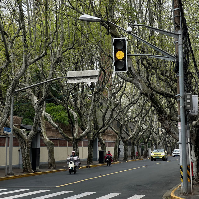 📍 ANFU ROAD | SHANGHAI | Trip.com เซี่ยงไฮ้