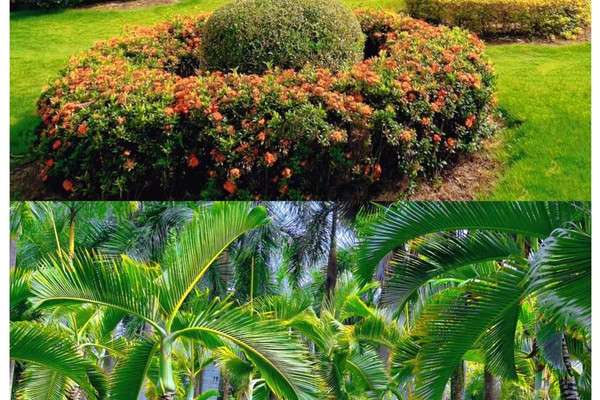 Xishuangbanna Tropical Flower Garden | Trip.com Jinghong