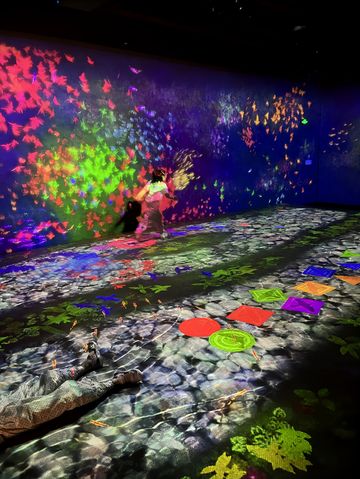 火遍全球的teamlab來深圳啦｜Trip.com 深圳