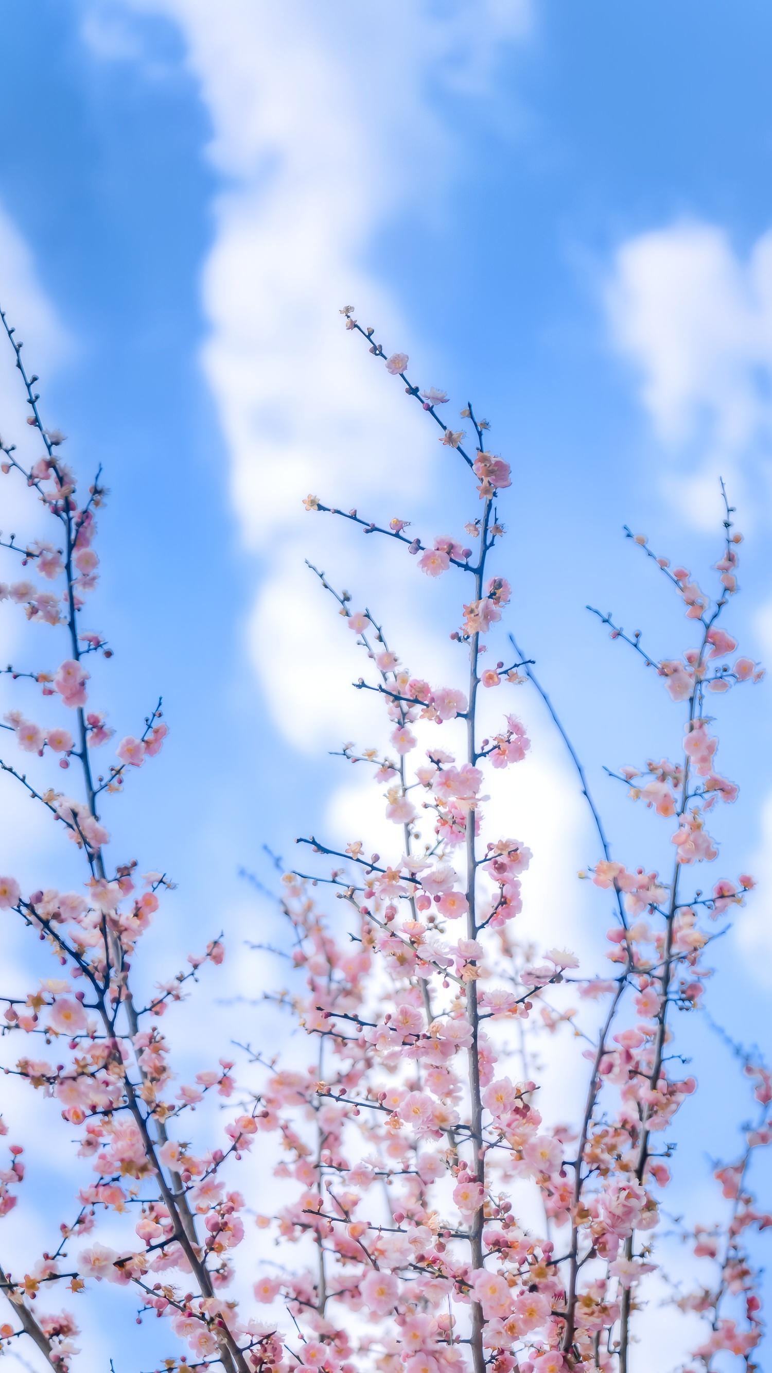 Things to Do in Xinluo District in 2025 - Top Attractions, Local Food ...