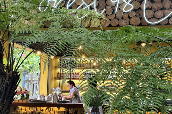 Forest 98: Your Perfect Jungle in Da Nang | Trip.com Da Nang