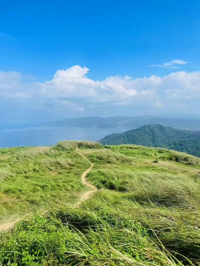 Mount Gulugod Baboy Hiking: Stunning Views | Trip.com Batangas Province