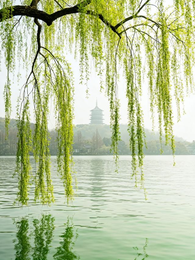Stayed at the Jiangjing Homestay in Dongziguan Village, as beautiful ...