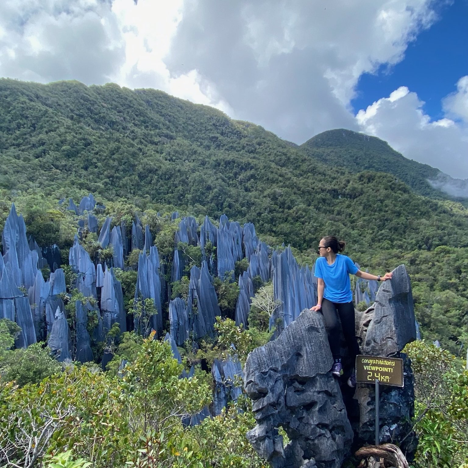 Gunung Mulu National Park Travel Guide 2024 - Things to Do, What To Eat ...