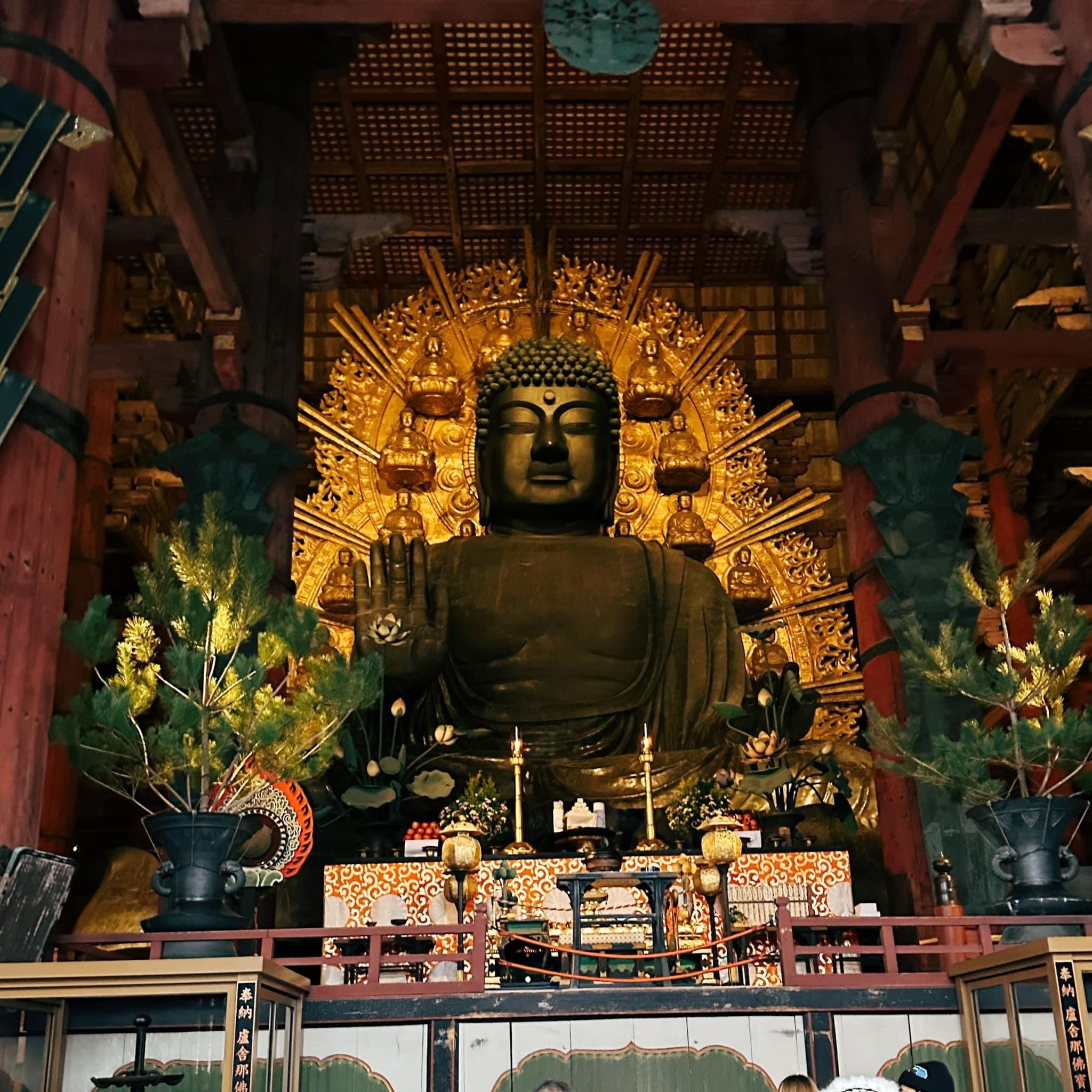 Nara Travel Guide 2023 - Things to Do, What To Eat & Tips | Trip.com