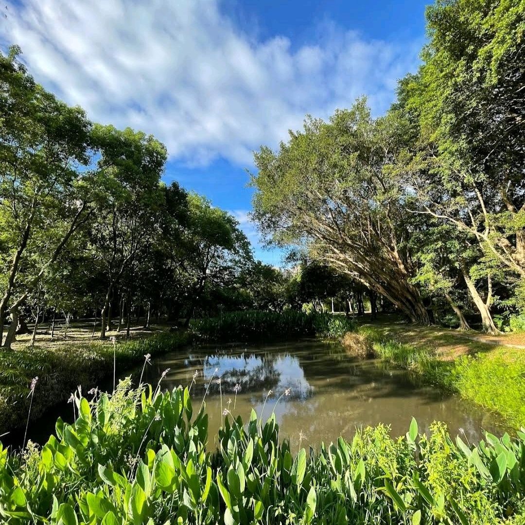 Beitou District Travel Guide 2024 - Things to Do, What To Eat & Tips ...