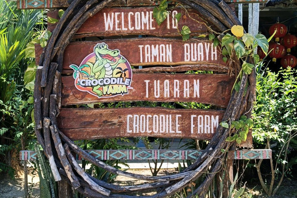 Roaming With The Ancient Rules Of The Swamp | Trip.com Tuaran