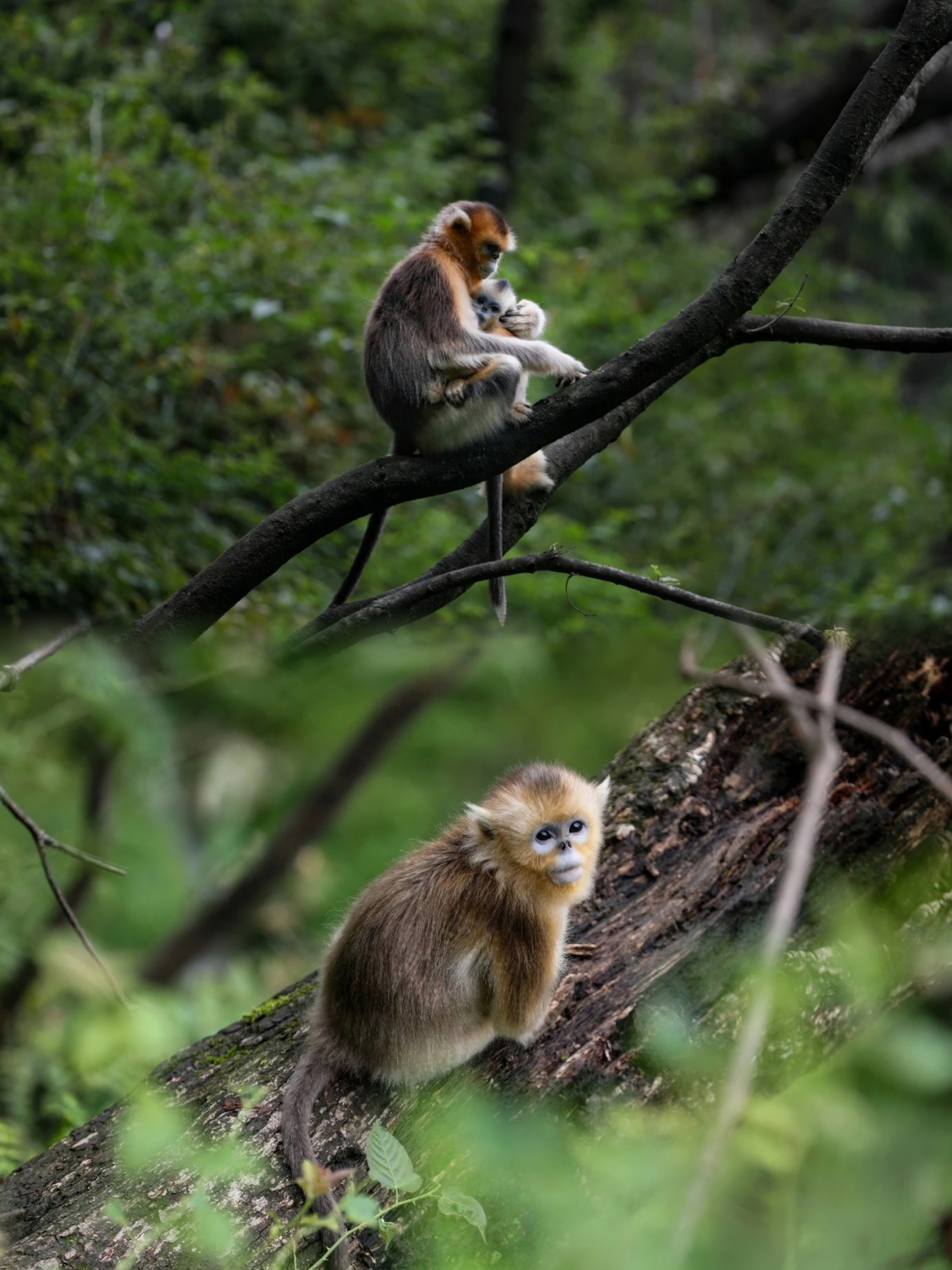 Things to Do in Longnan in 2024 - Top Attractions, Local Food, Hotels ...