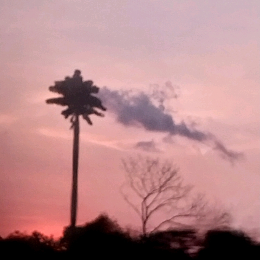 Atimonan Travel Guide 2023 - Things to Do, What To Eat & Tips | Trip.com