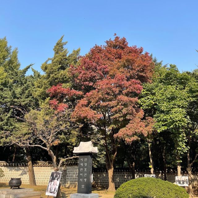 Dosan Park | Trip.com Seoul