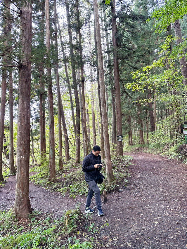 Oide Park | Trip.com ฮาคุบะ