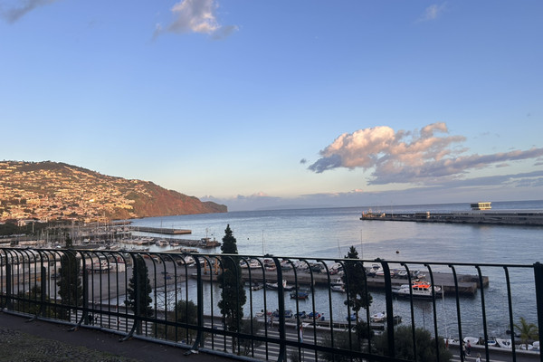 A park with a view | Trip.com Funchal