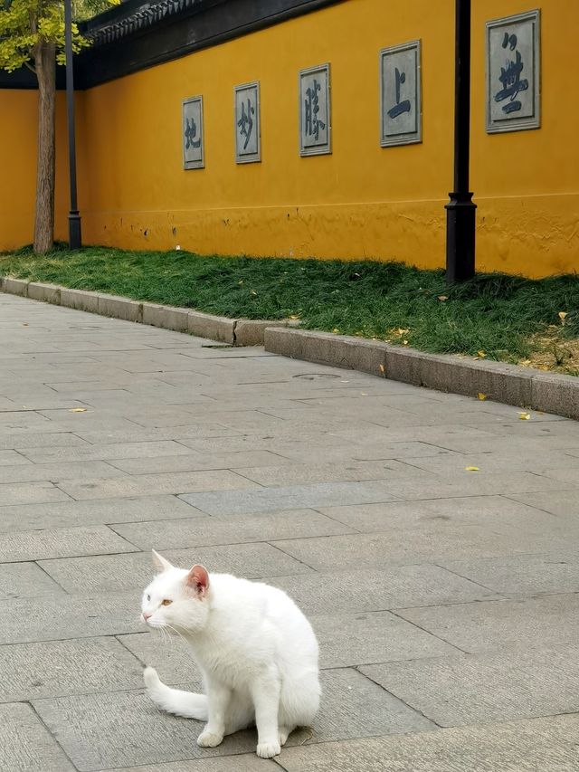 Suzhou Tourism - A Wonderful Temple, Xiyuan Temple | Trip.com Suzhou