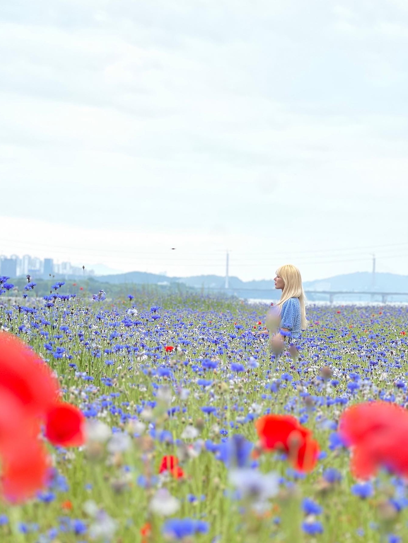 Namyangju-si Travel Guide 2024 - Things to Do, What To Eat & Tips ...