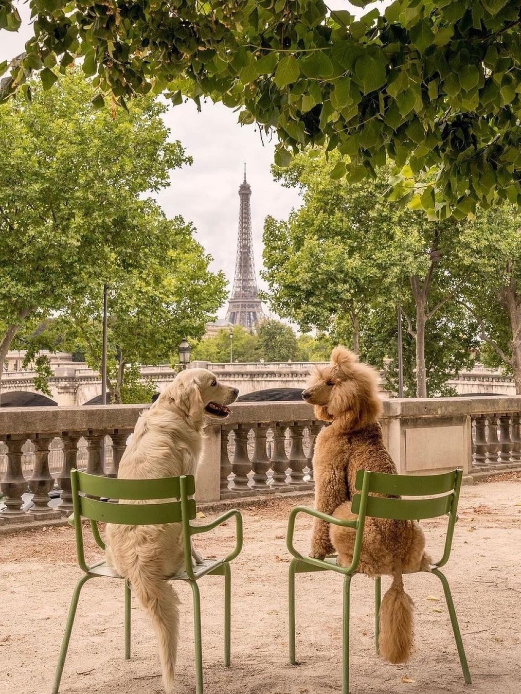 Paris Travel Guide 2024 - Things to Do, What To Eat & Tips | Trip.com