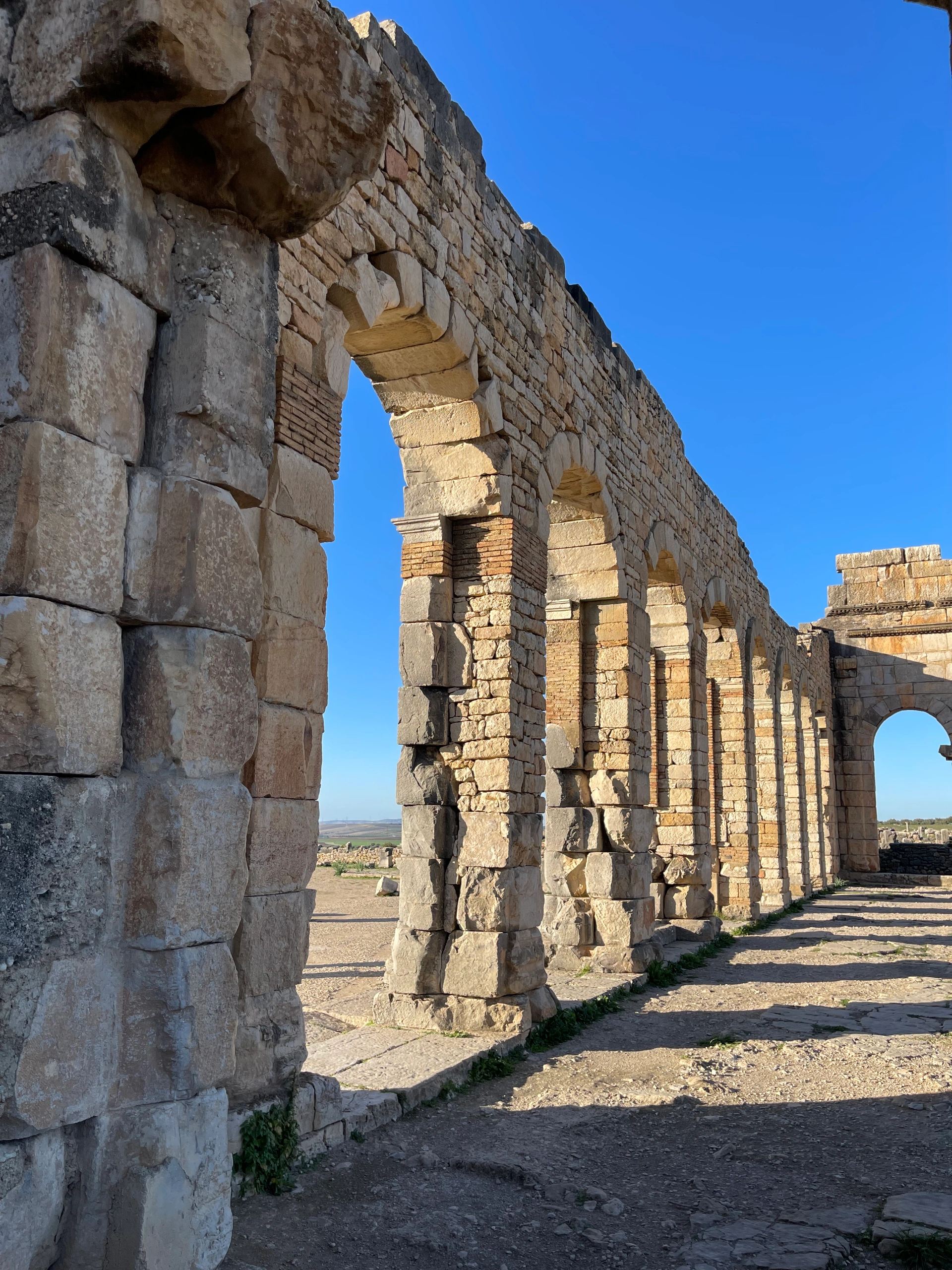 Things to Do in Carthage in 2025 - Top Attractions, Local Food, Hotels ...