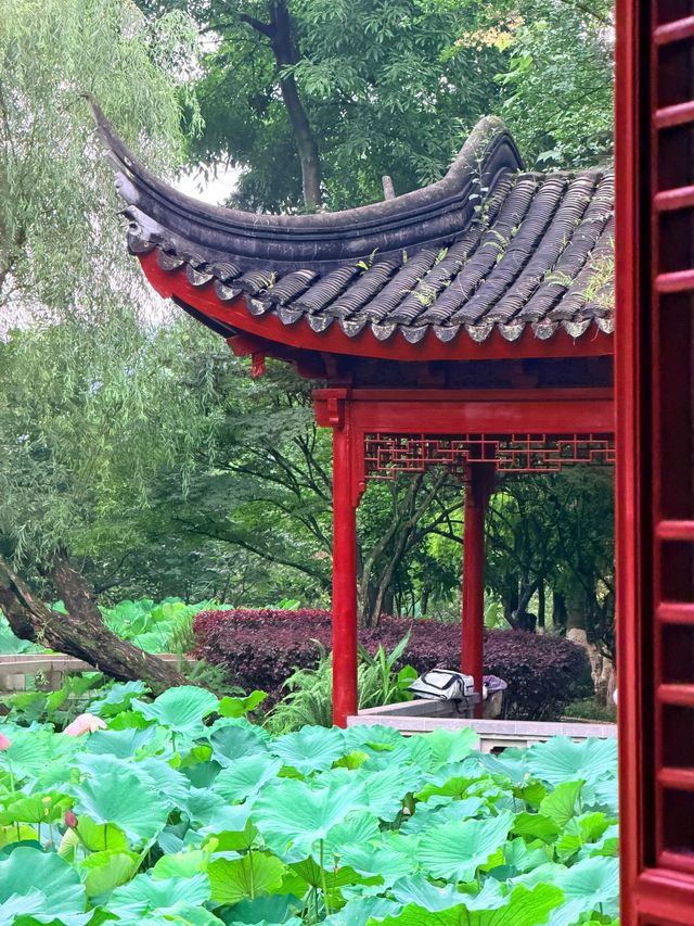 重慶園博園中式園林美得令人詞窮🍃｜Trip.com 重慶