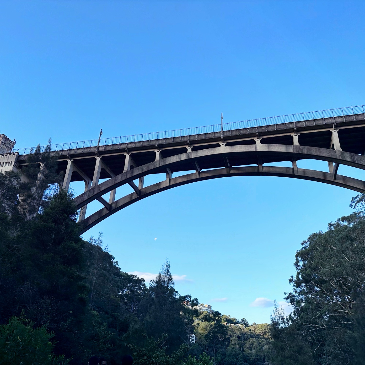 North Ryde Travel Guide 2023 - Things to Do, What To Eat & Tips | Trip.com