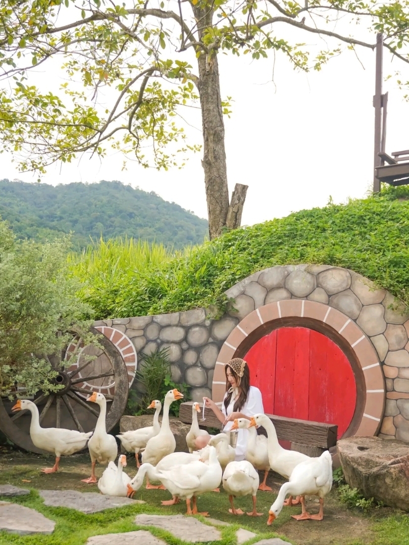 Things to Do in Suan Phueng in 2025 - Top Attractions, Local Food ...