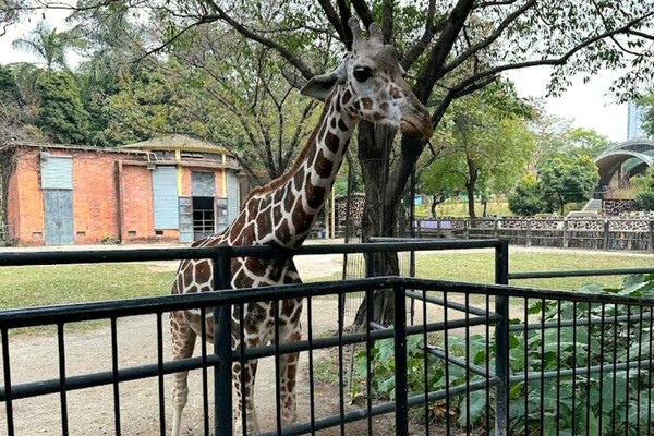 Guangzhou Zoo | Trip.com Guangzhou