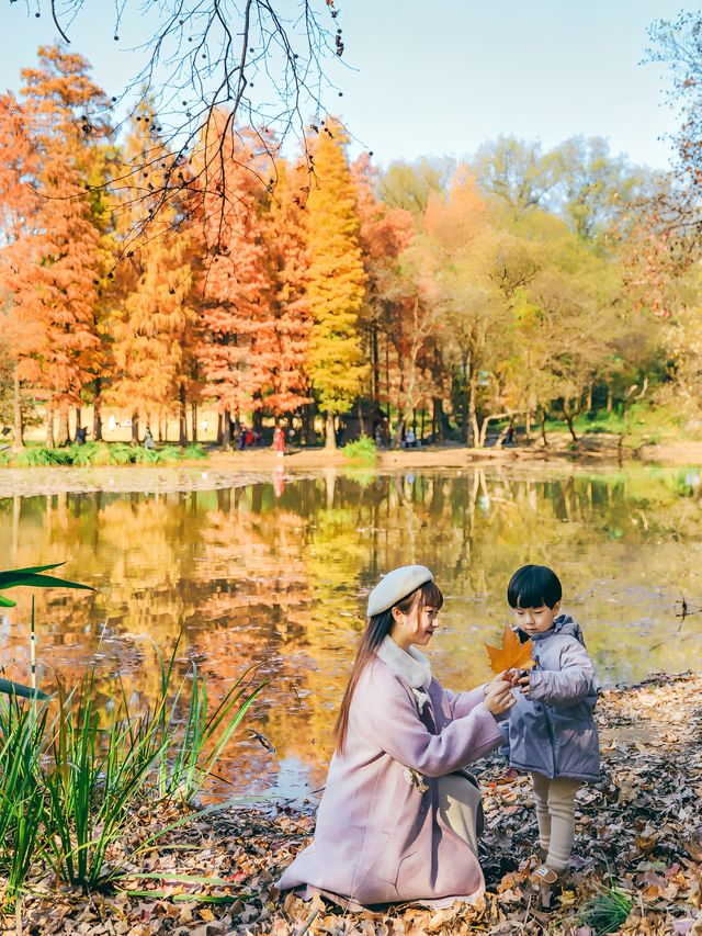I made a special trip to Nanjing for the autumn of Yanzi Lake | Trip ...
