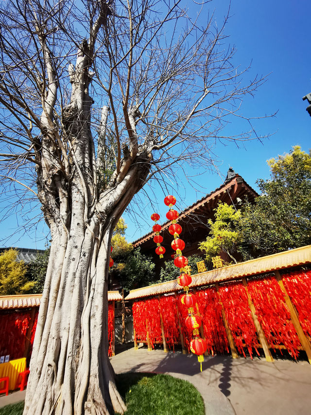 Exploring Shenzhen: Dahua Xing Temple | Trip.com Shenzhen