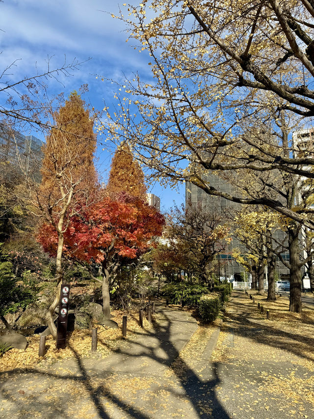 A Hidden Oasis of Autumn in Yokoamicho Park | Trip.com Tokyo