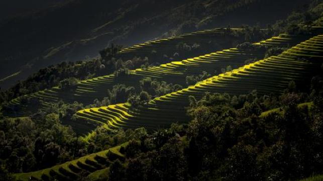 Things to Do in Qidong in 2025 - Top Attractions, Local Food, Hotels ...