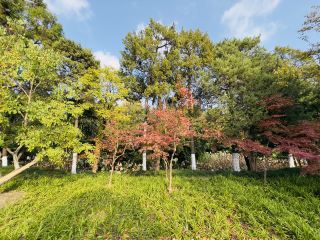 Rugao Travel Guide 2025: Top Attractions, Things to Do & Deals | Trip ...