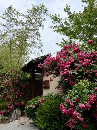 Things to Do in Baoding in 2024 - Top Attractions, Local Food, Hotels ...