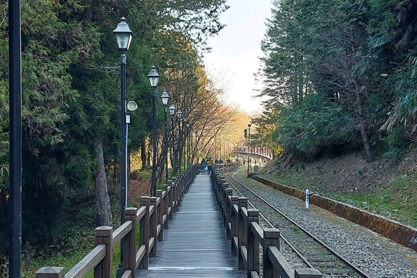 Alishan's Sunrise: Where Nature Paints Magic | Trip.com Chiayi County