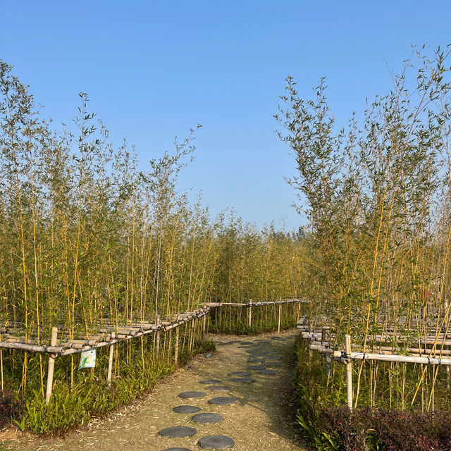 Hac Sa Beach leisure area | Trip.com Macau